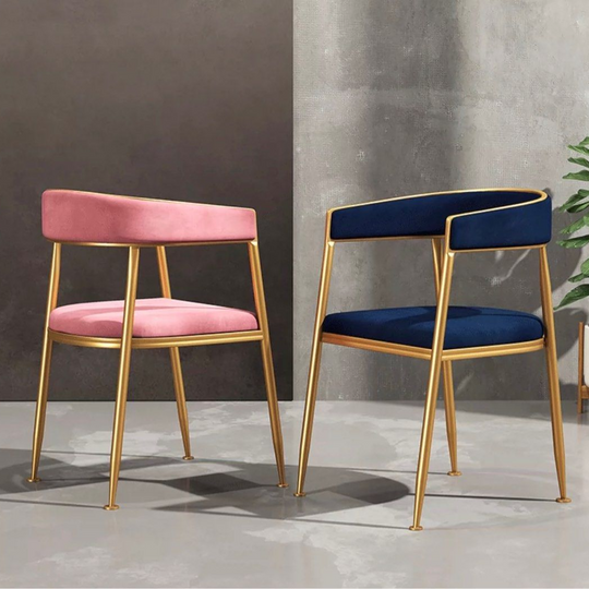 BANE Modern Dining Chair – Radical Homes